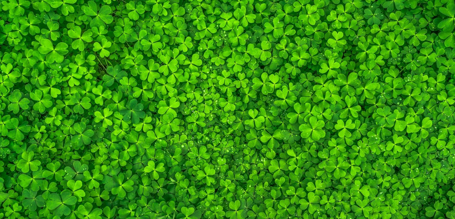 Where To Celebrate St. Patrick’s Day In Vancouver, Washington | Dr ...